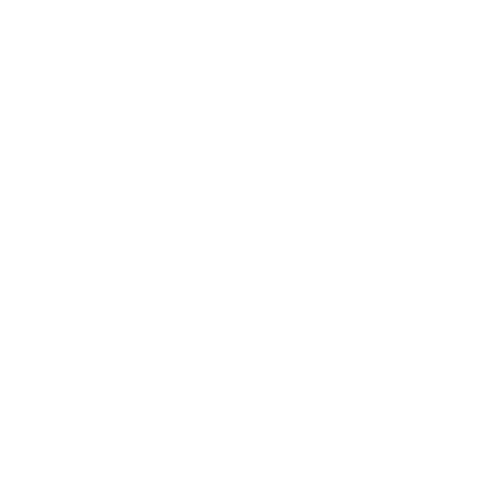 Rise & Reign Basketball Club – Take your game to the next level