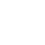 Rise & Reign Basketball Club – Take your game to the next level