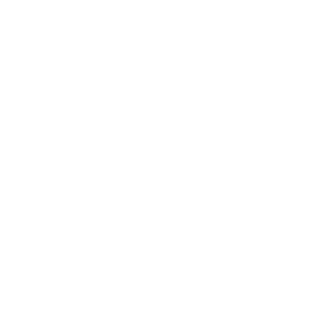 Rise & Reign Basketball Club – Take your game to the next level
